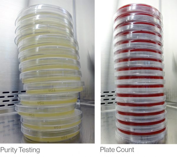 Transfer in or in House Development of Cell Based Assays – BioLyo ...