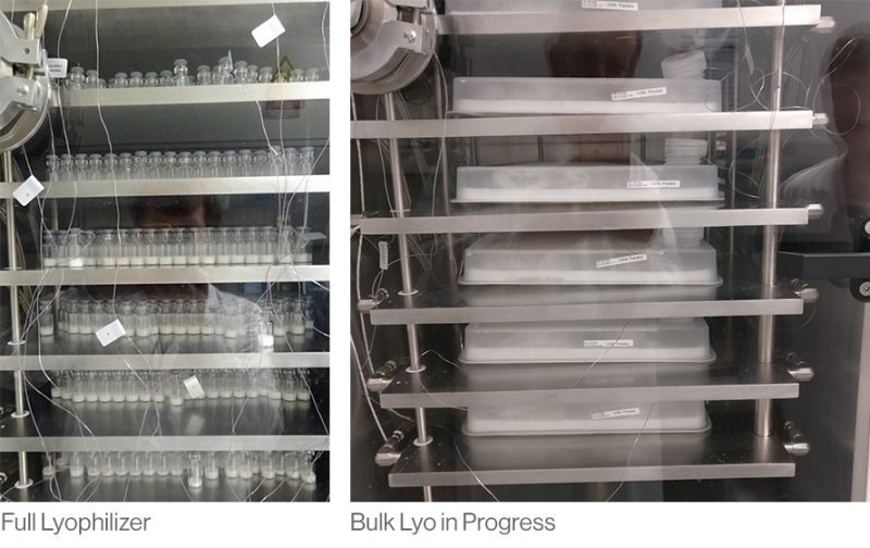 Manufacture DS or DP for Toxicology – BioLyo Technologies