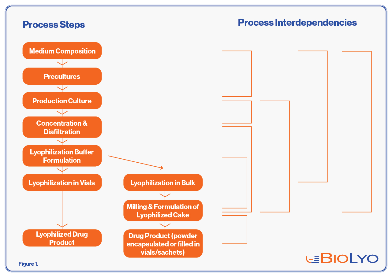 Our Process – BioLyo Technologies